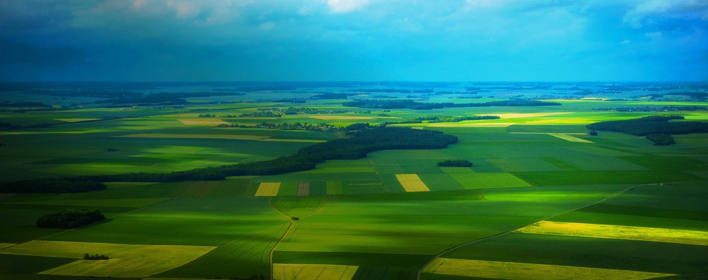 Foodnet – Global #1 fresh to frozen b2b supplier