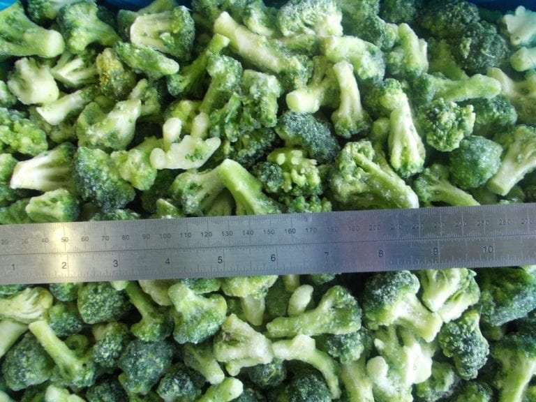 IQF Broccoli Floret 10-20mm – Foodnet