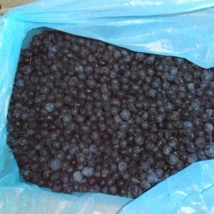 IQF Wild Sloe – Foodnet