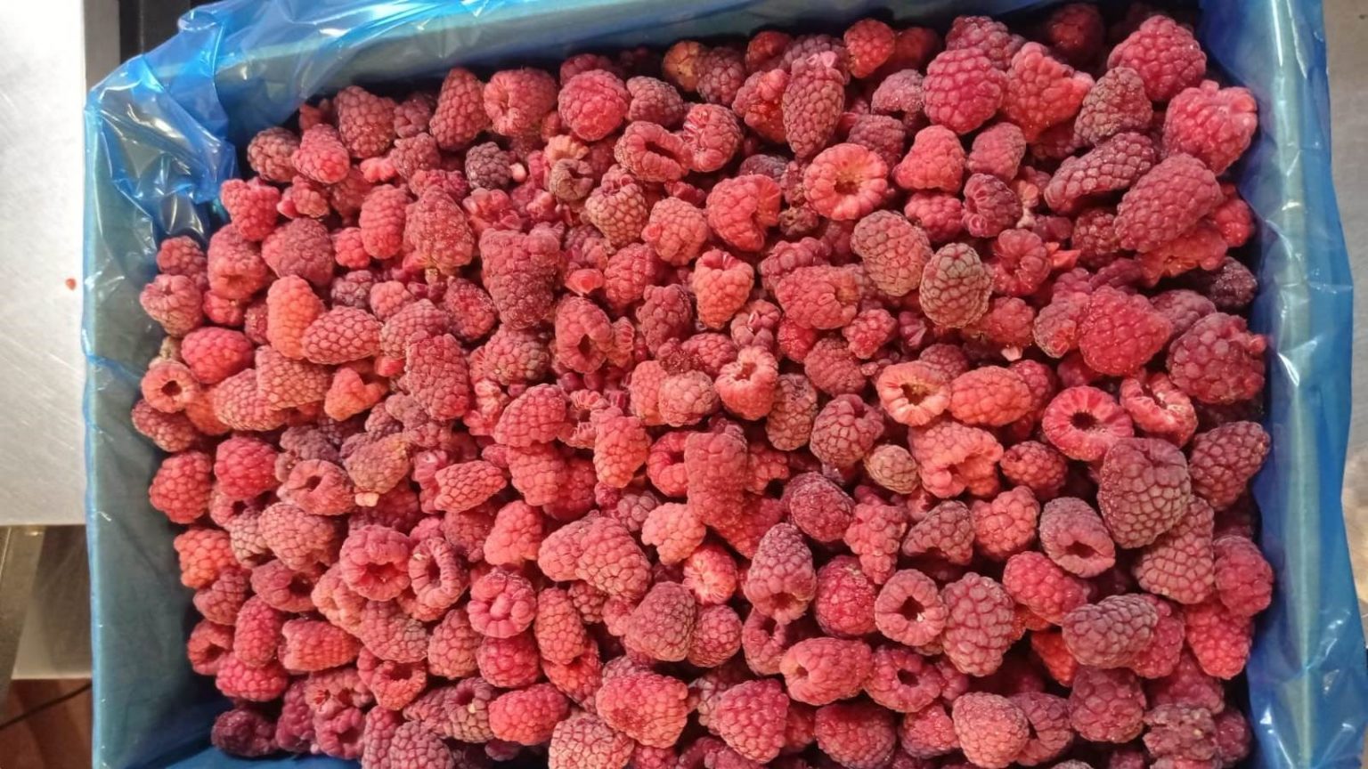 IQF Raspberry 80-20 – Foodnet