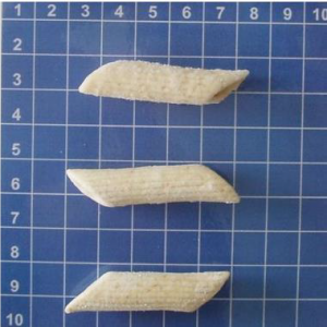 IQF Pasta Penne Whole Wheat – Foodnet