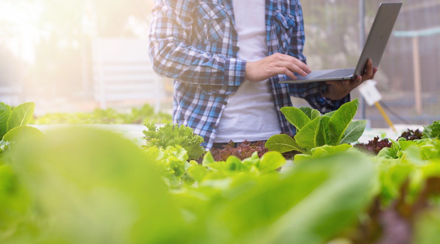 About us – Foodnet