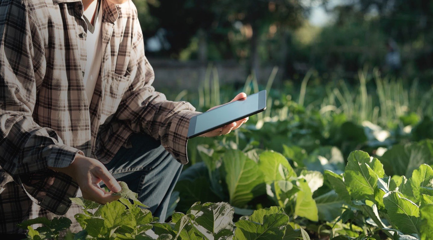 Foodnet – Global #1 fresh to frozen b2b supplier