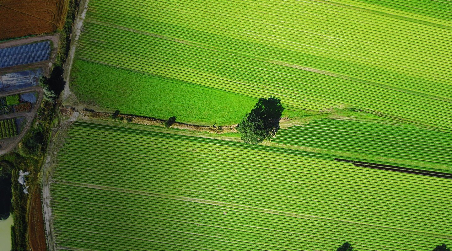 Foodnet – Global #1 fresh to frozen b2b supplier